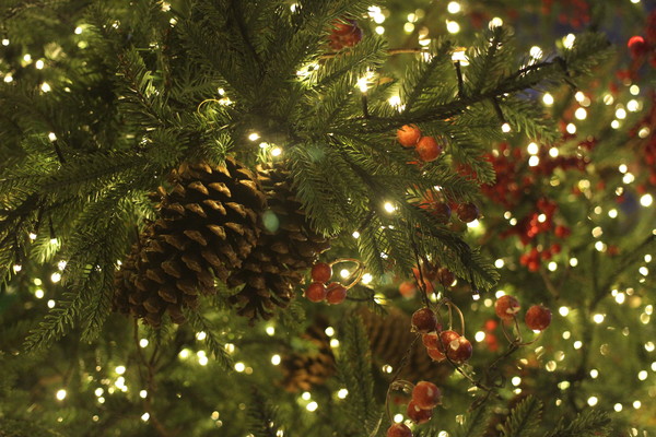 Like Snowflakes, my Christmas memories gather and dance- Each Beautiful ...