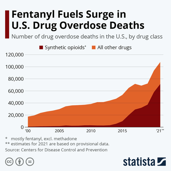 Underworld Networks: A Deep Dive into International Drug Trafficking